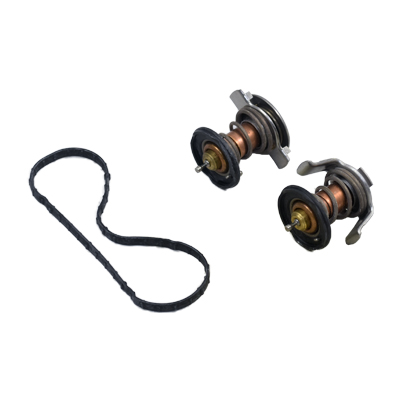 1899571C91 Eng Thermostat