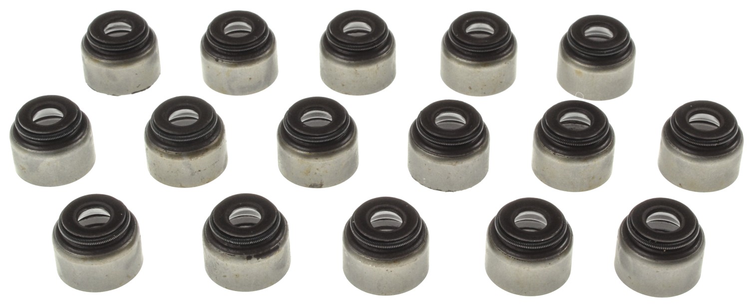 SS45549 Seal Mahle-Clevite Michigan