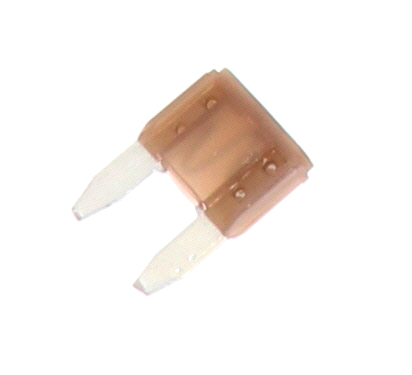 46253 5 Amp Fuse