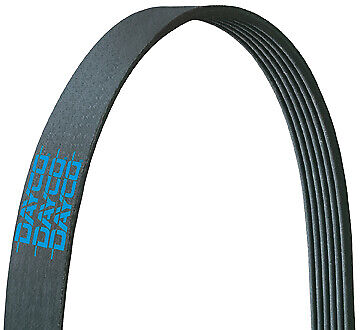 5080705 V-Ribbed Belt Dayco Corp