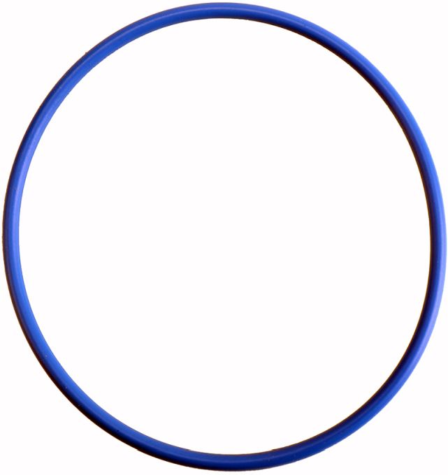 12577653 Oil Fltr C Seal Ac Delco