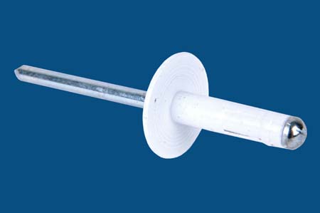 11401221 Pop White Rivet Buy Truck Parts